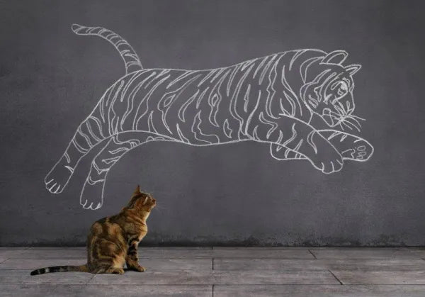 How a Girl Switched from a Sub to a Dom. A Real Story – FETDOM